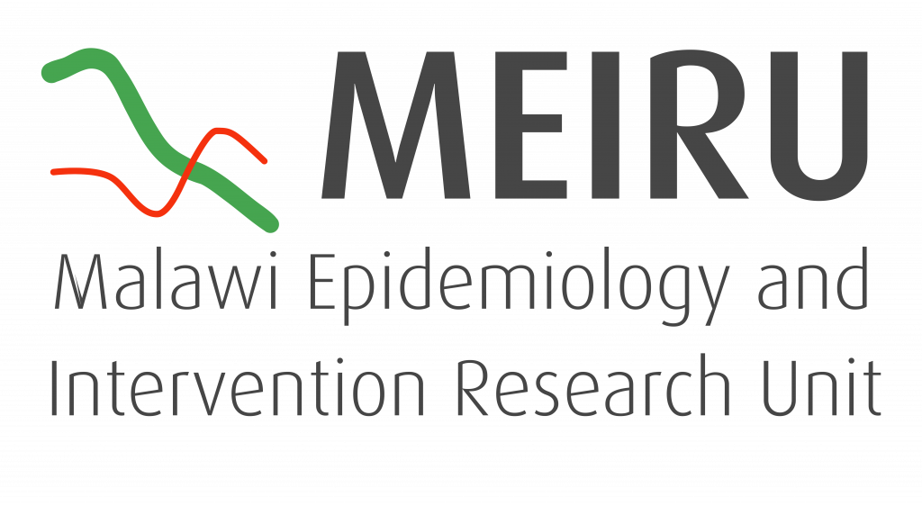 Other Areas of Research – MEIRU